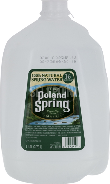 Spring Water | Evergreen