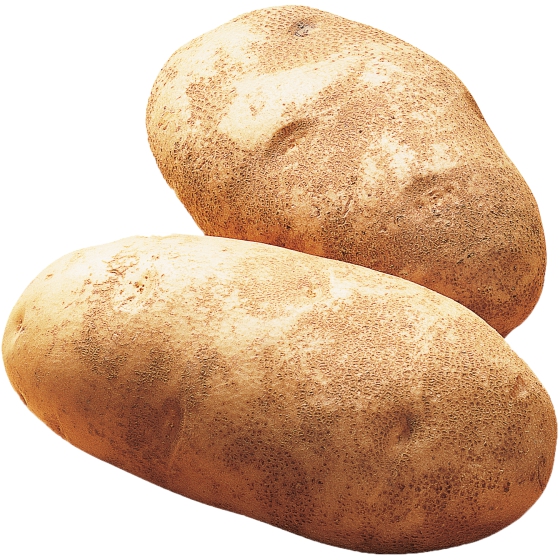 Potatoes,Gpod #90 Us #1 | Moisha's Supermarket