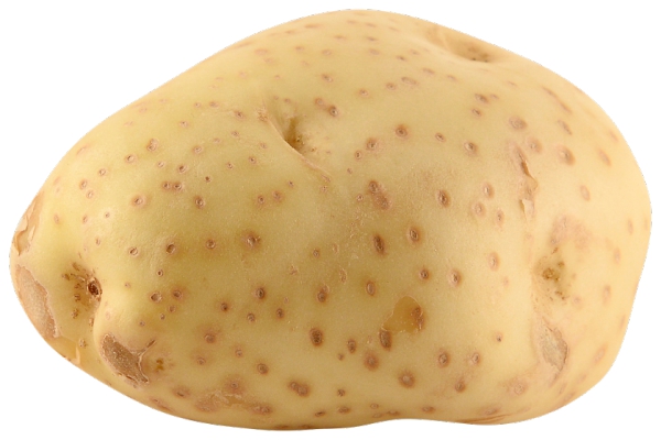 Yellow Potatoes | Seven Mile Market