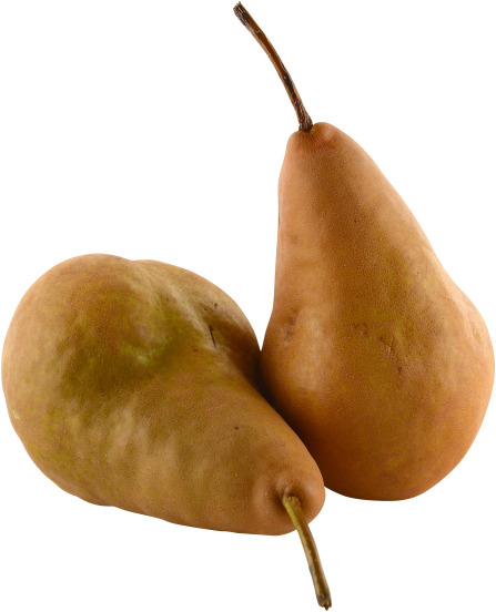 Bosc Pears | Seven Mile Market