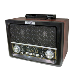 RADIO PORTATIL C/USB SANKEY | El Fuerte